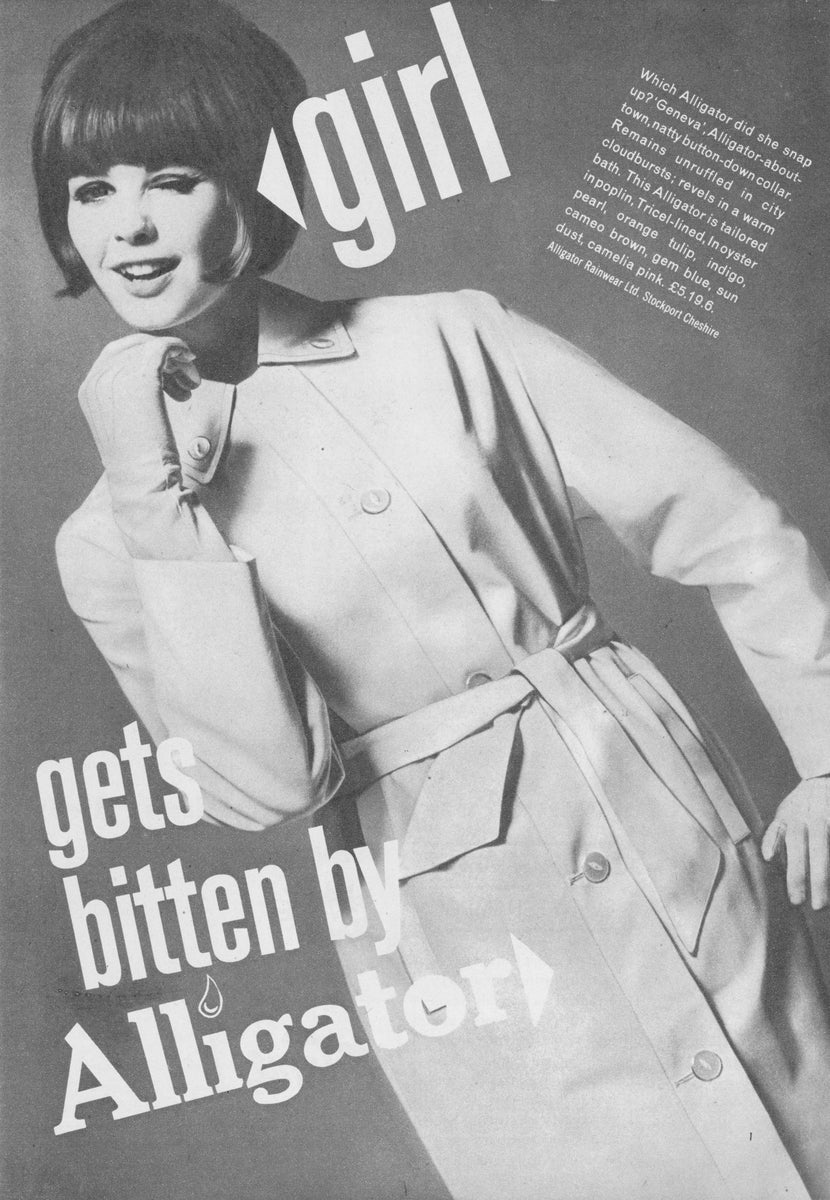 Alligator 1964 Art Print (C) – Vintage Magazine Company