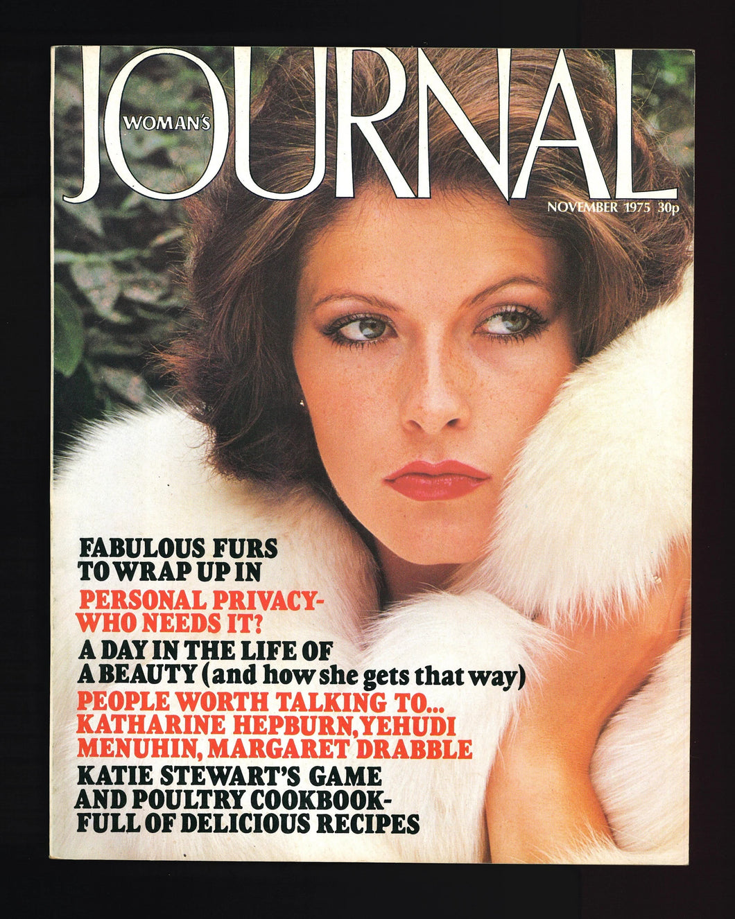Woman's Journal Nov 1975 – Vintage Magazine Company