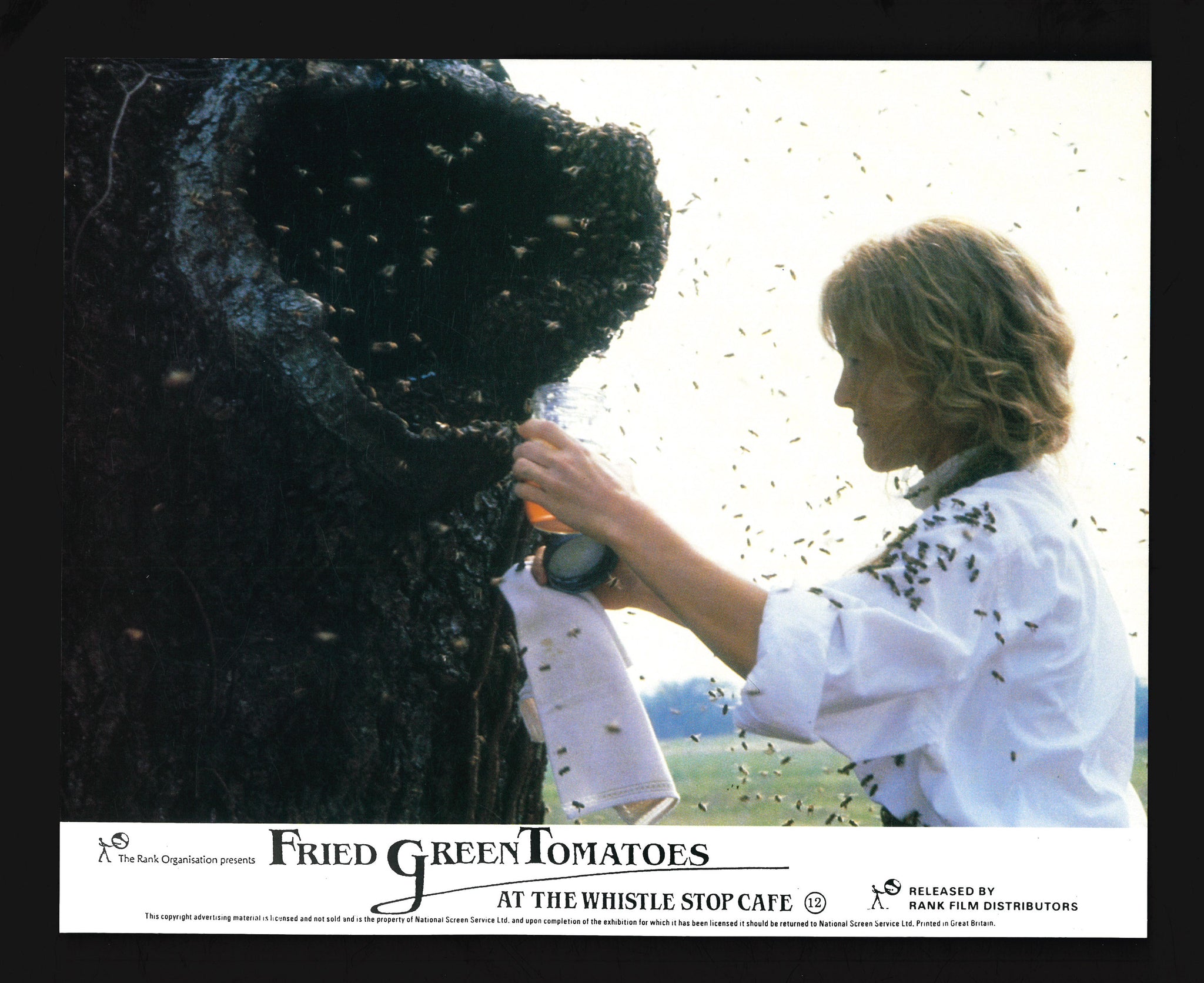 Fried Green Tomatoes at the Whistle Stop Cafe, 1991 Press Kit – Vintage ...